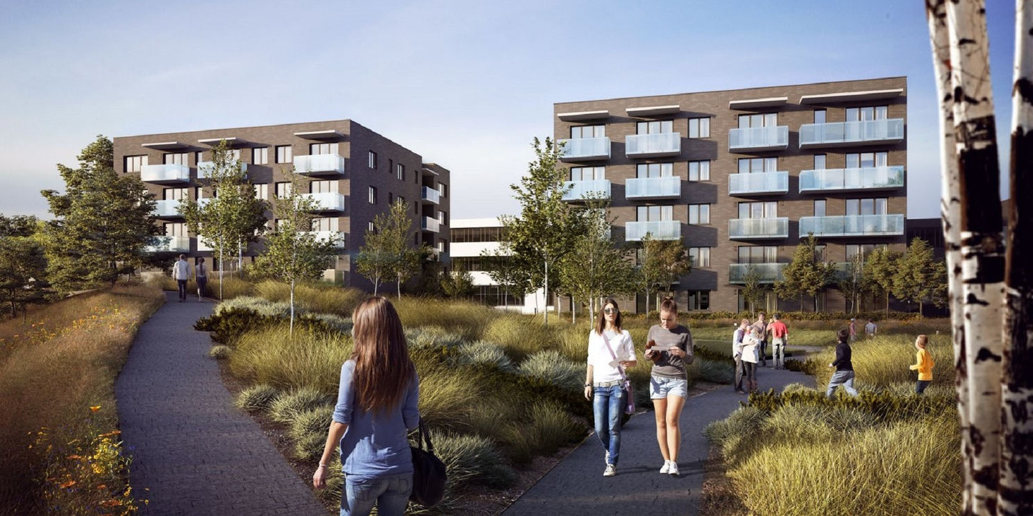 5 pytań do Polnord. Opinie i najważniejsze informacje o rynku ...