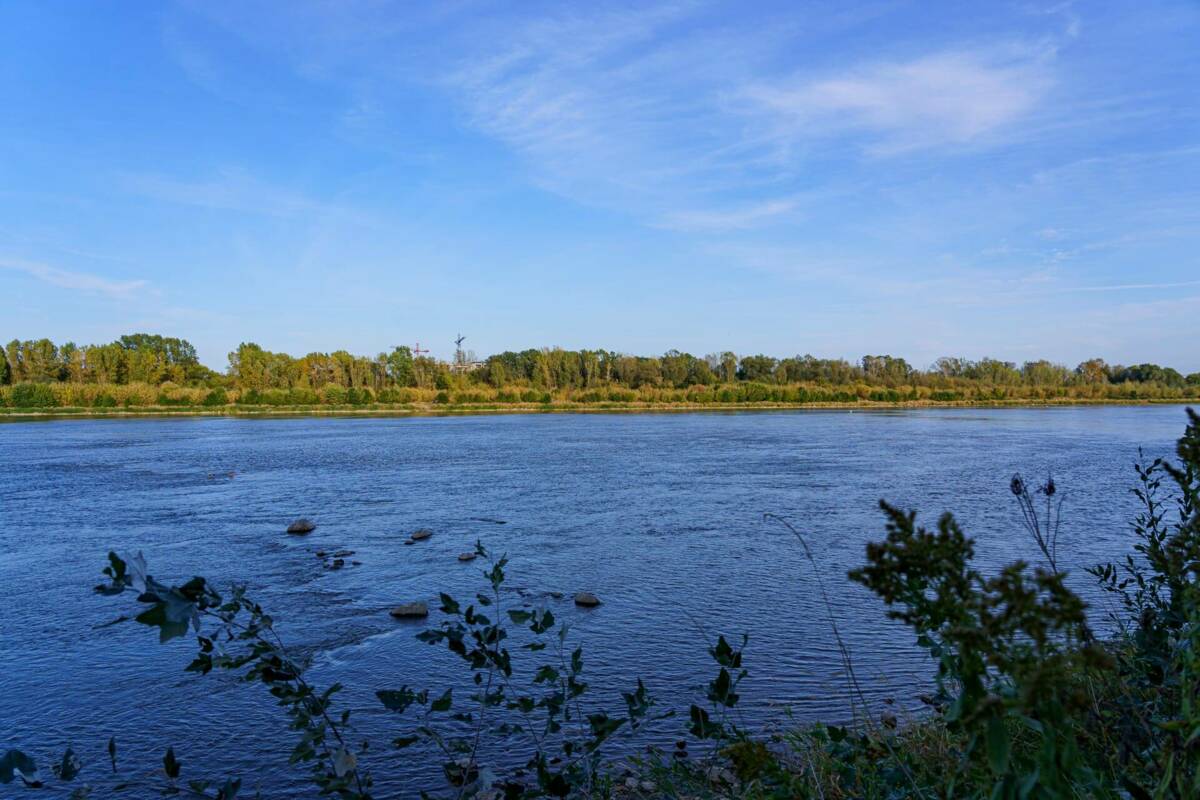 Marymont-Potok – mieszkania. Dlaczego warto zamieszkać w tej ...